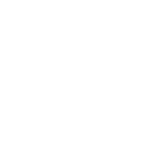 Editor | Strive Learning Platform